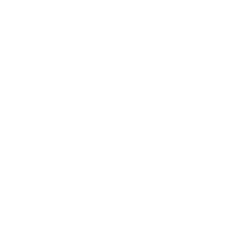 Rico Studio : Agence marketing digital à Genève, Suisse